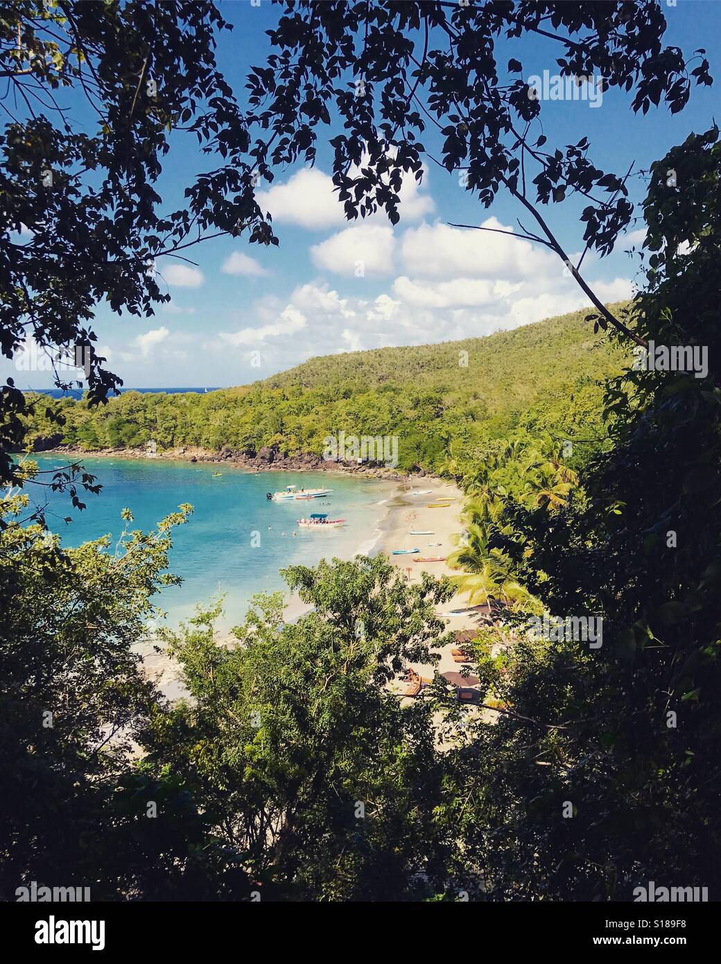View of beach through foliage - St Lucia - Caribbean Stock Photo - Alamy