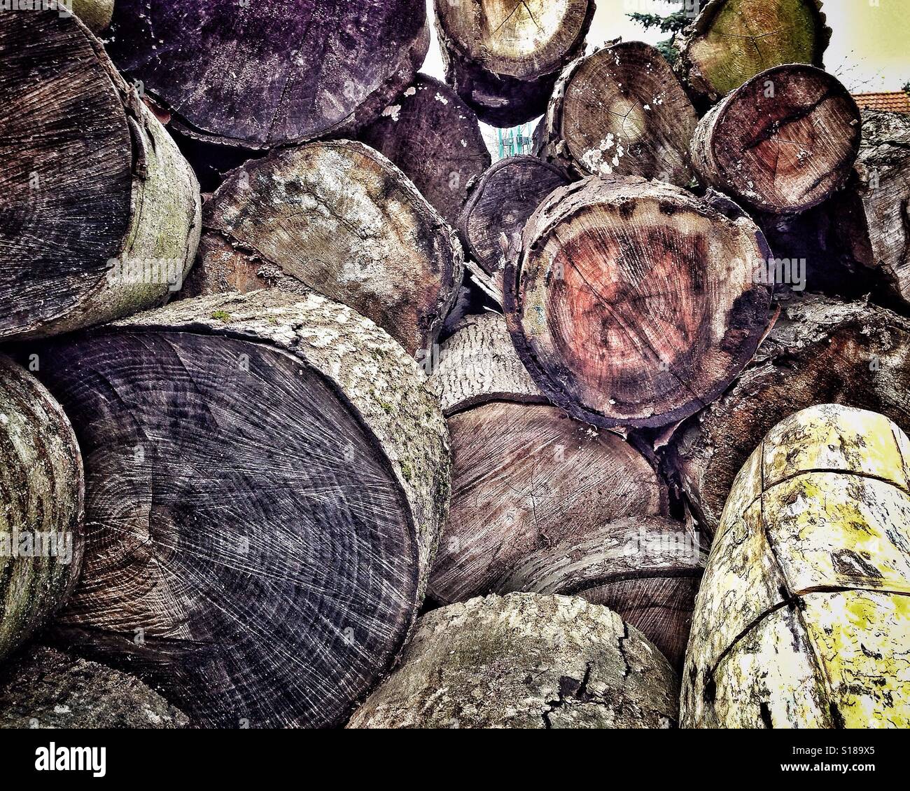 Winter log pile Stock Photo - Alamy
