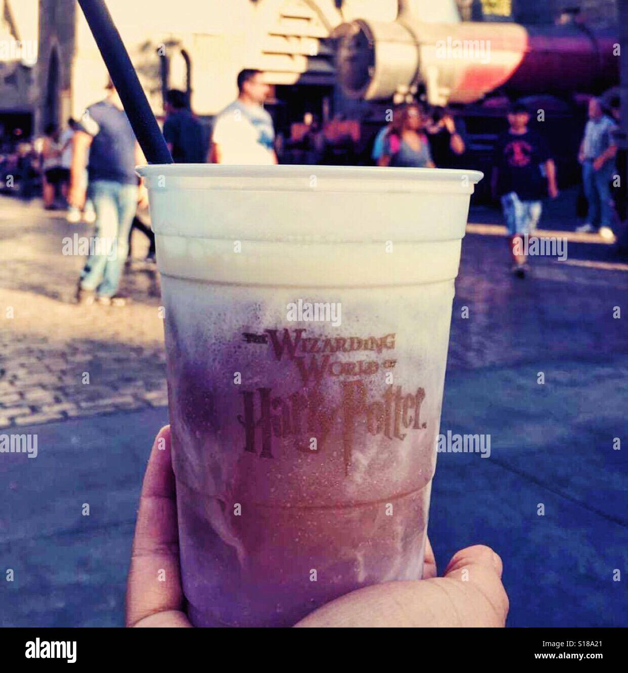 Harry potter universal studios hi-res stock photography and images - Alamy