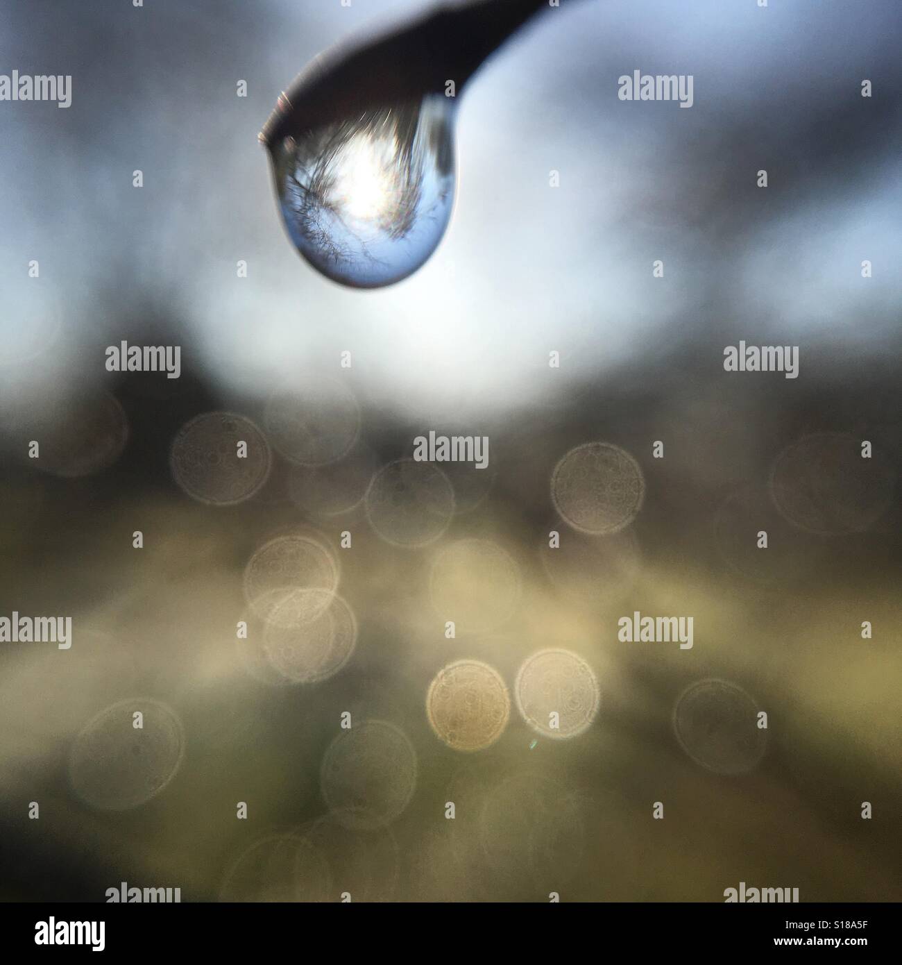 Closeup of water droplet Stock Photo - Alamy