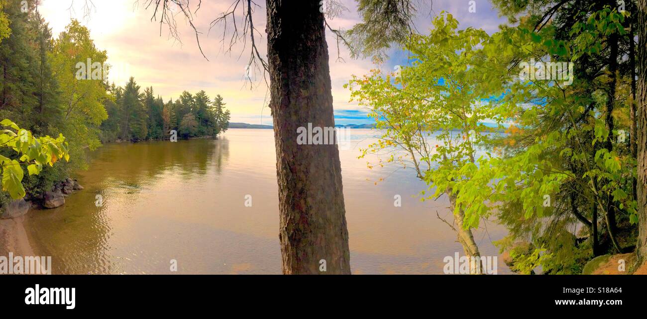 Panorama Of Lake Sand Beach By Forest Shoreline Stock Photo - Alamy