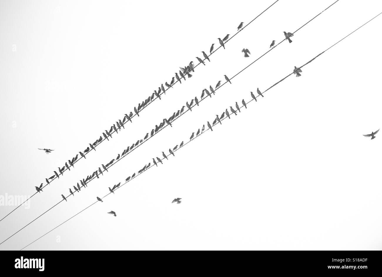 Wirehouse hi-res stock photography and images - Alamy