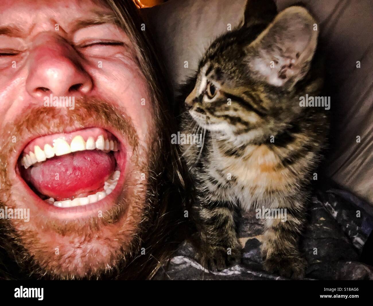 Learn to roar hi-res stock photography and images - Alamy