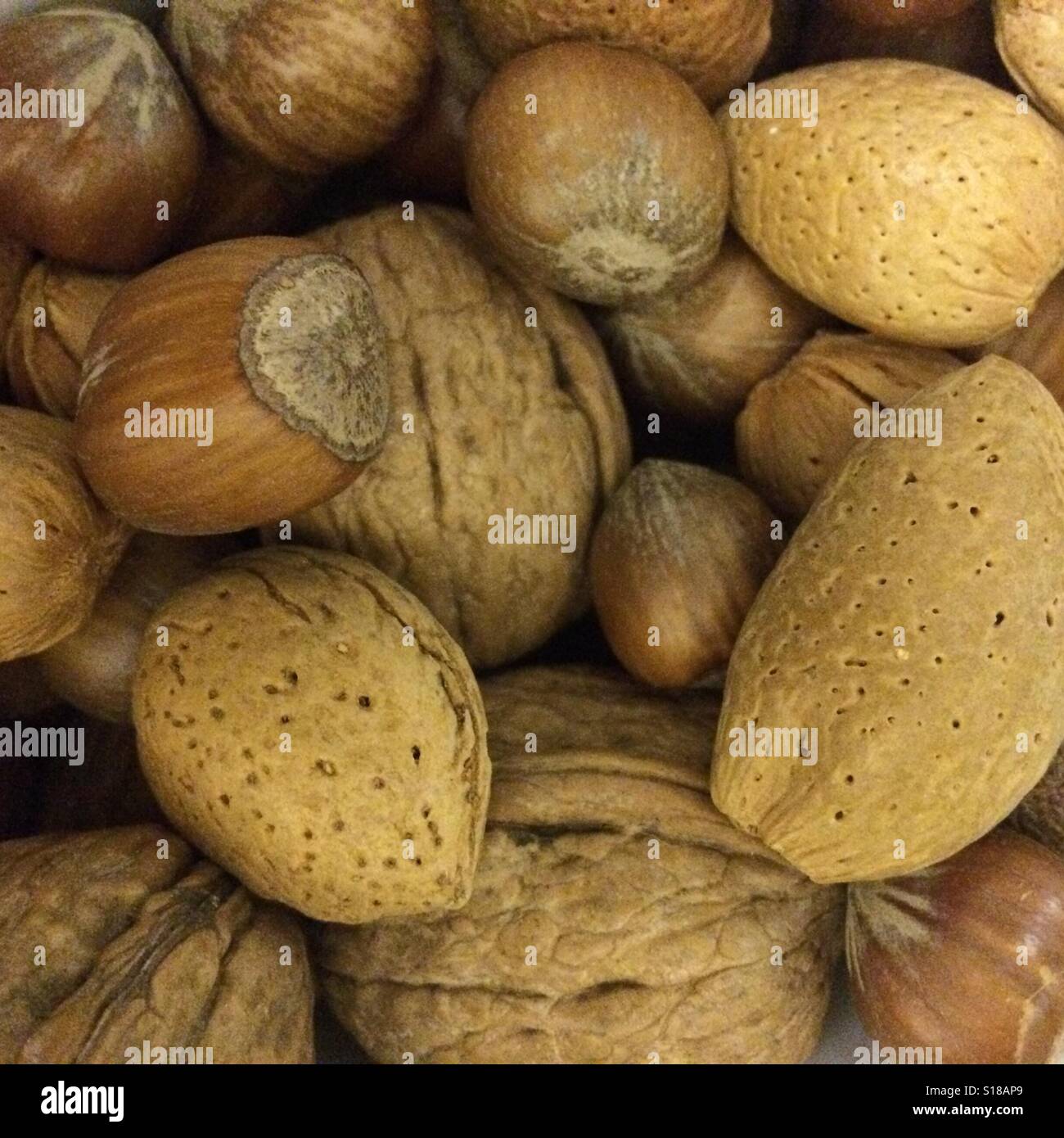 Nuts types hi-res stock photography and images - Alamy