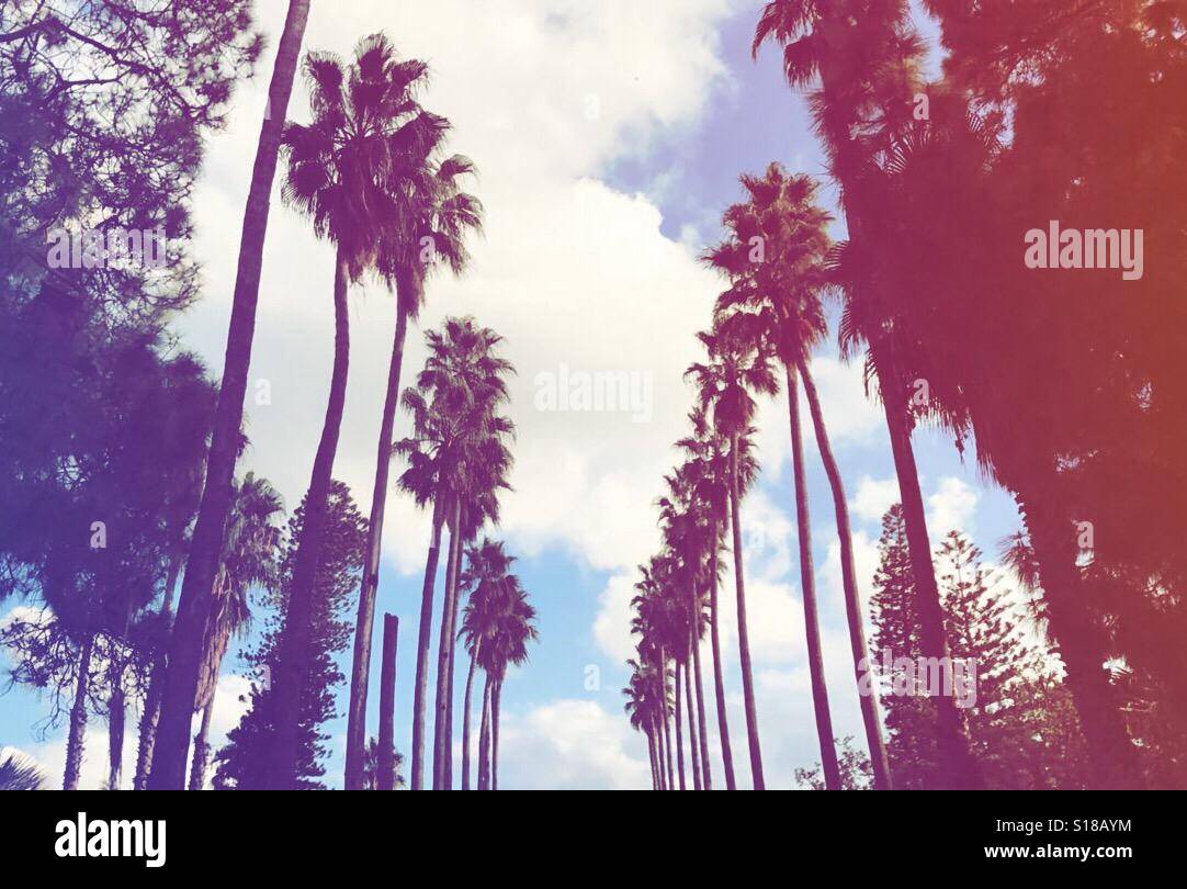 Tissy hi-res stock photography and images - Alamy