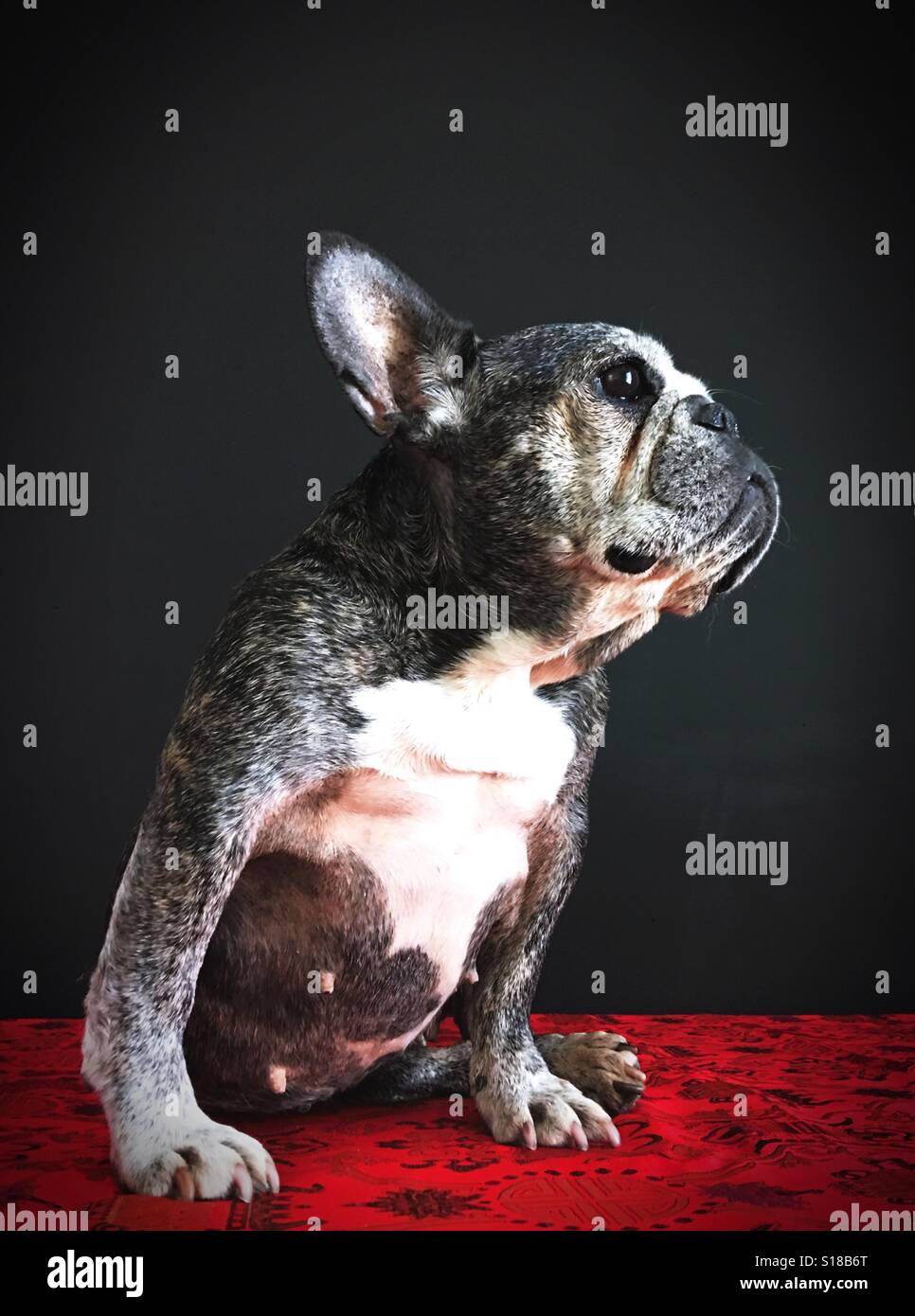 Funny sitting position hi-res stock photography and images - Alamy