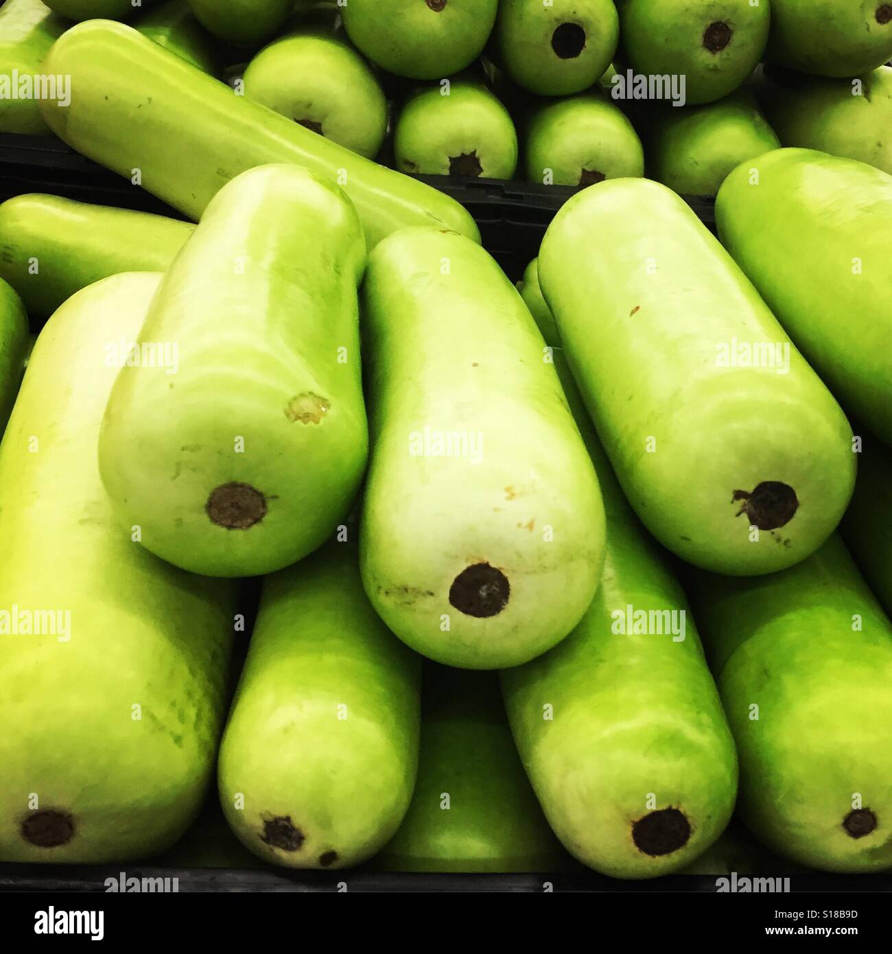 Long Squash High Resolution Stock Photography and Images - Alamy