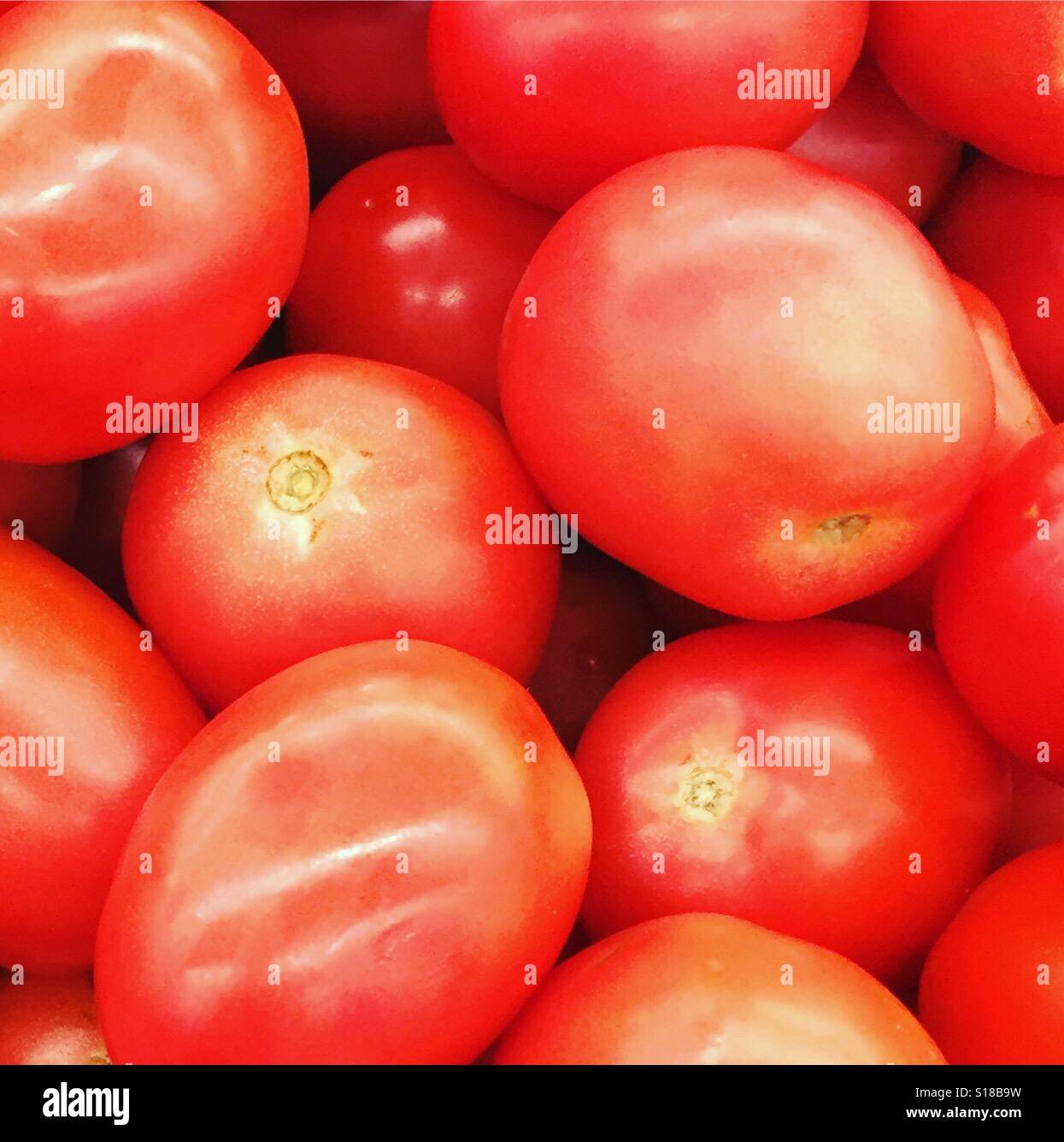 Roma tomatoes hi-res stock photography and images - Alamy