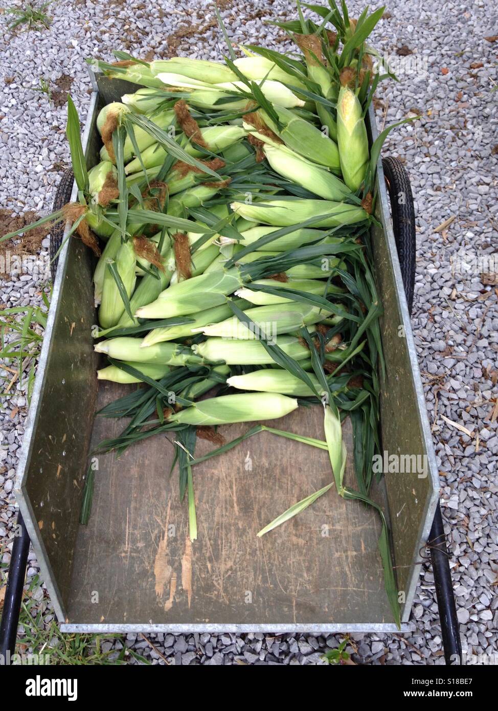 Garden cart hi-res stock photography and images - Alamy