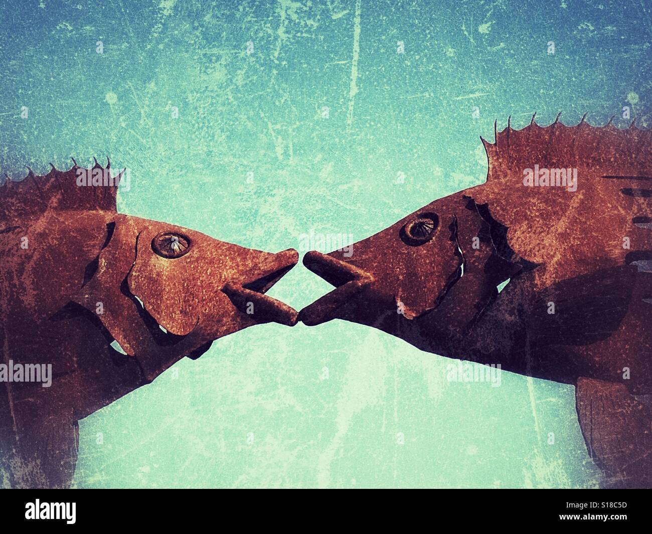 Kiss fish hi-res stock photography and images - Alamy