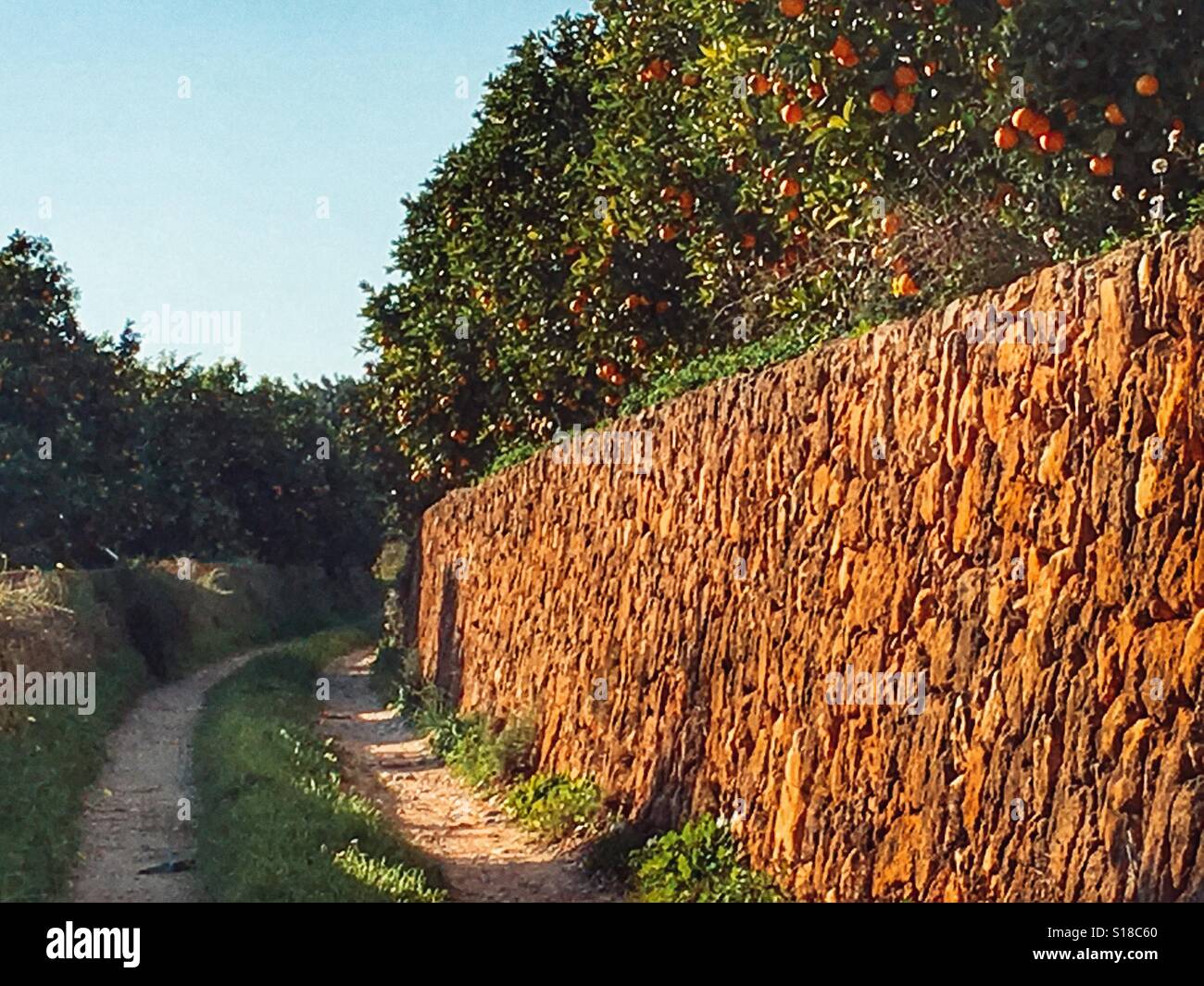 Grove with stone wall hi-res stock photography and images - Alamy