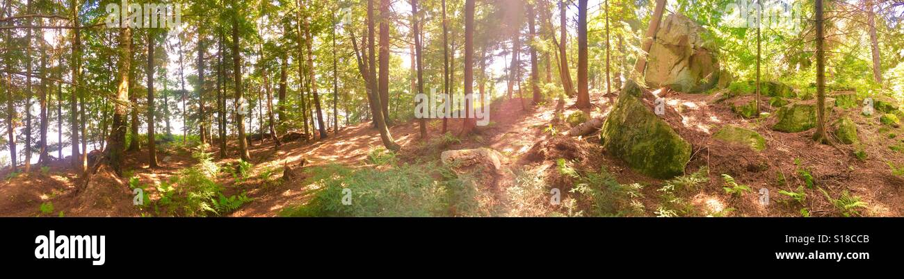 Rock Outcrop Forest Panorama Stock Photo - Alamy