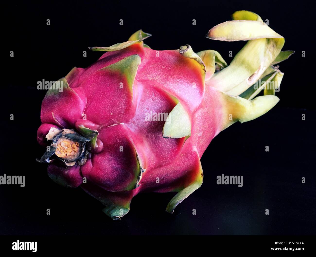 A dragon fruit Stock Photo - Alamy