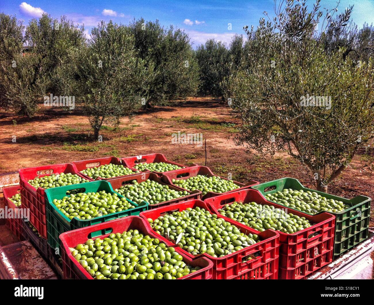 Hand picked hi-res stock photography and images - Alamy
