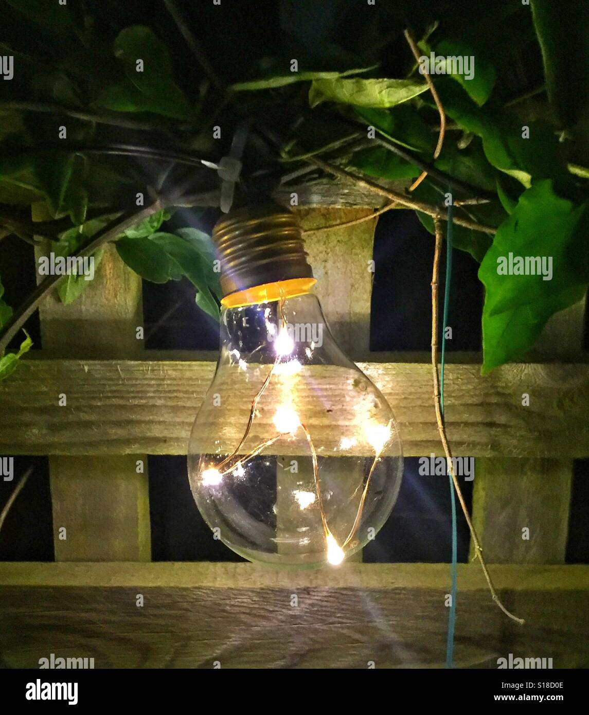 Lightbulb leaves hi-res stock photography and images - Alamy
