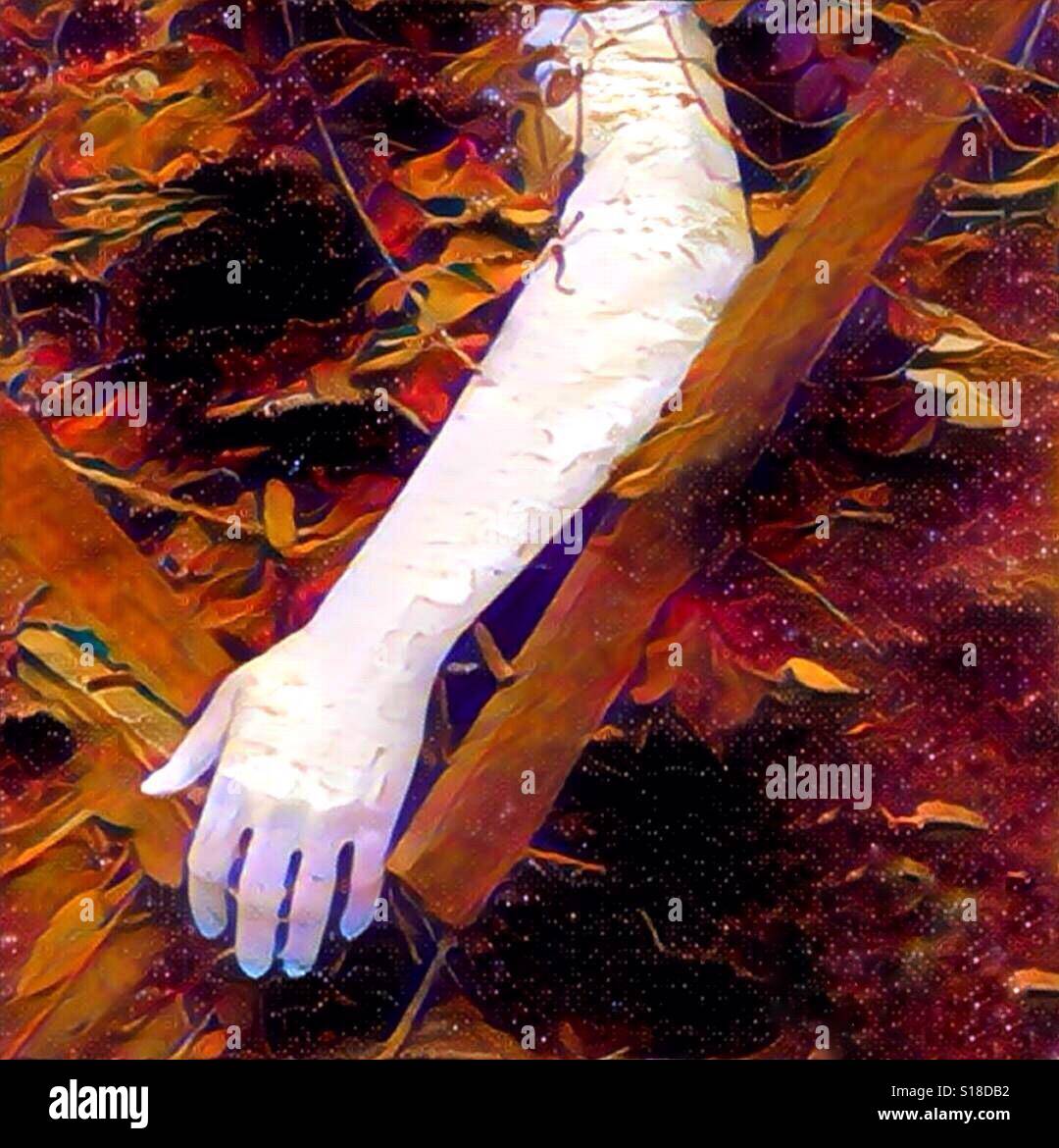 White mannequin arm lying on leafyground Stock Photo - Alamy