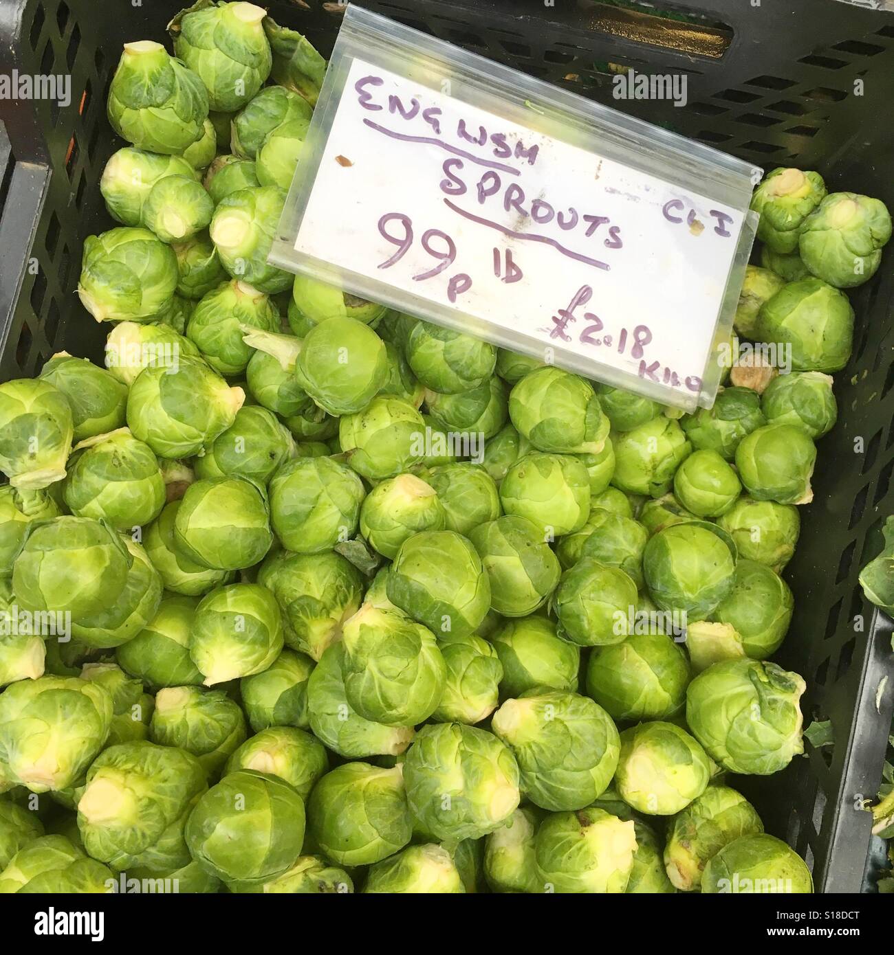 English sprouts hi-res stock photography and images - Alamy