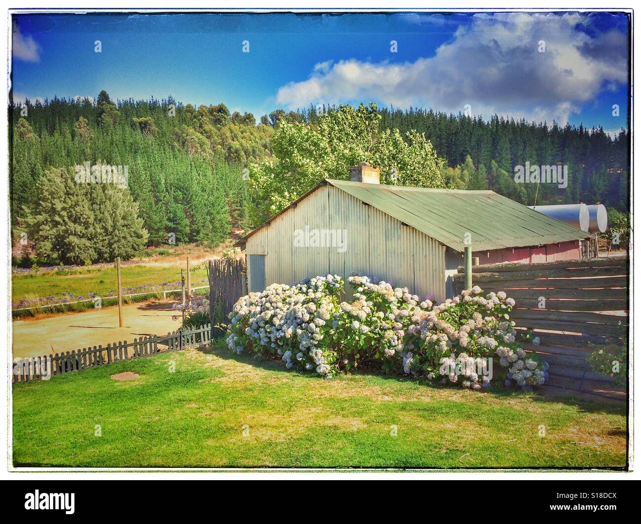 Outbuilding at the Hickory Shack in Grabouw, South Africa Stock Photo ...