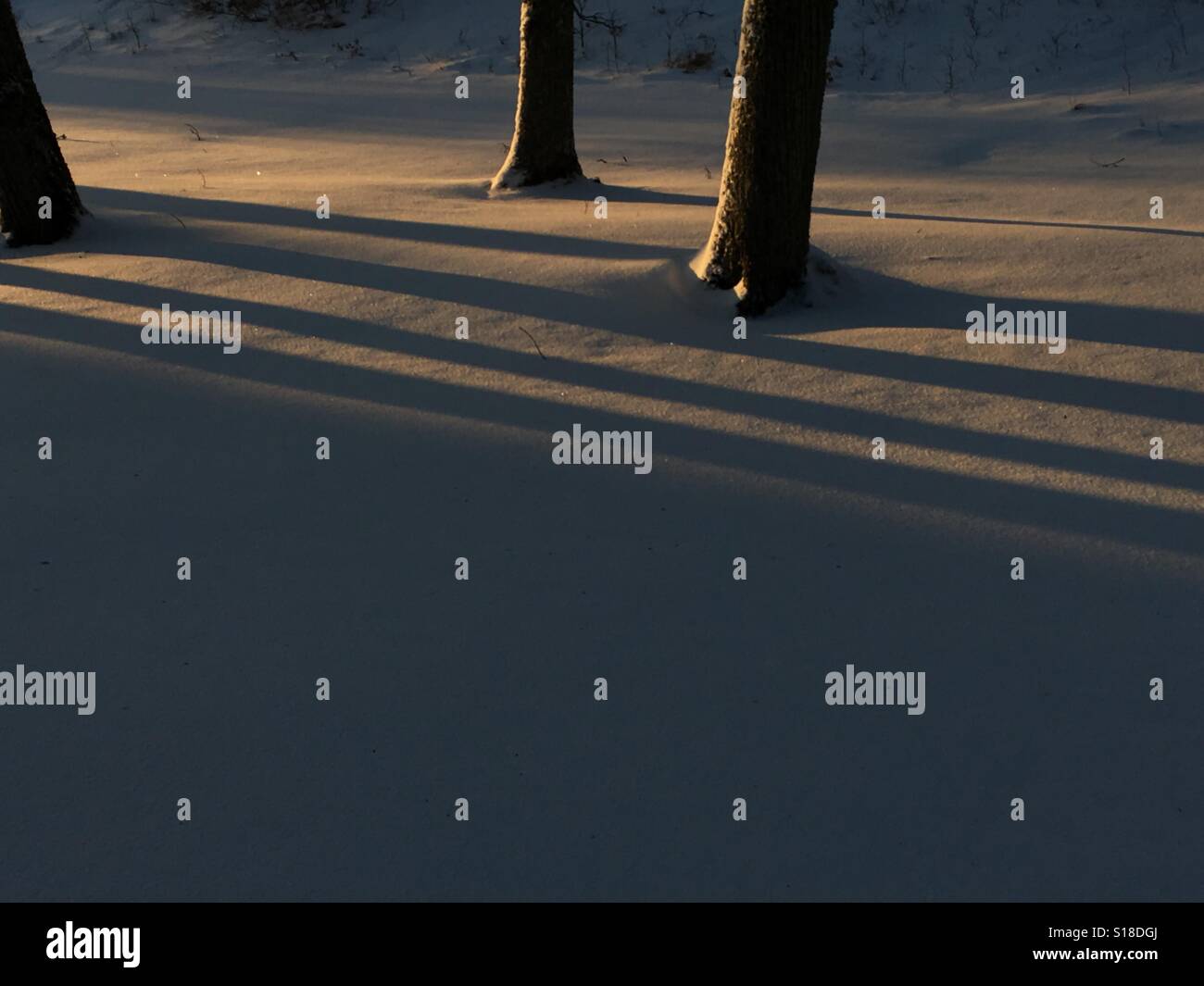 Snow sunset trees hi-res stock photography and images - Alamy