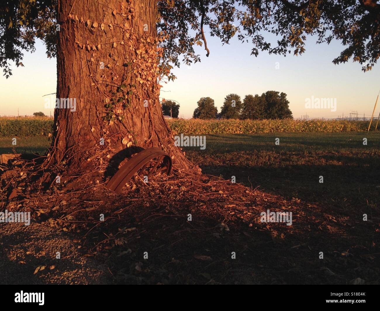 Rusty wheel hi-res stock photography and images - Alamy