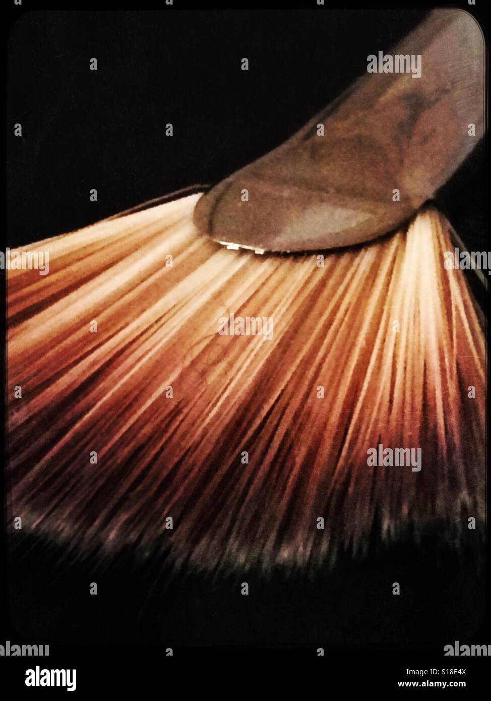 Fan shaped brush hi-res stock photography and images - Alamy