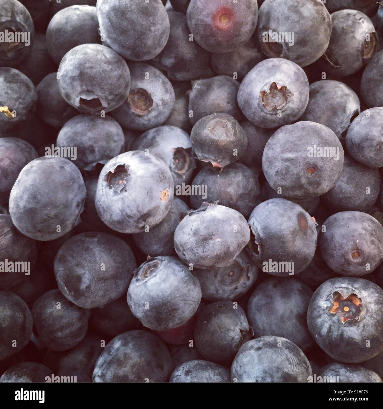 Sumptuous hi-res stock photography and images - Alamy