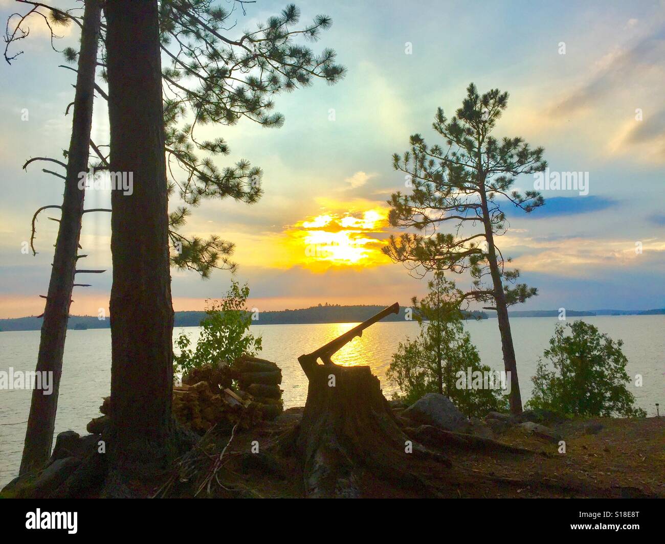 Trees and axes hi-res stock photography and images - Alamy