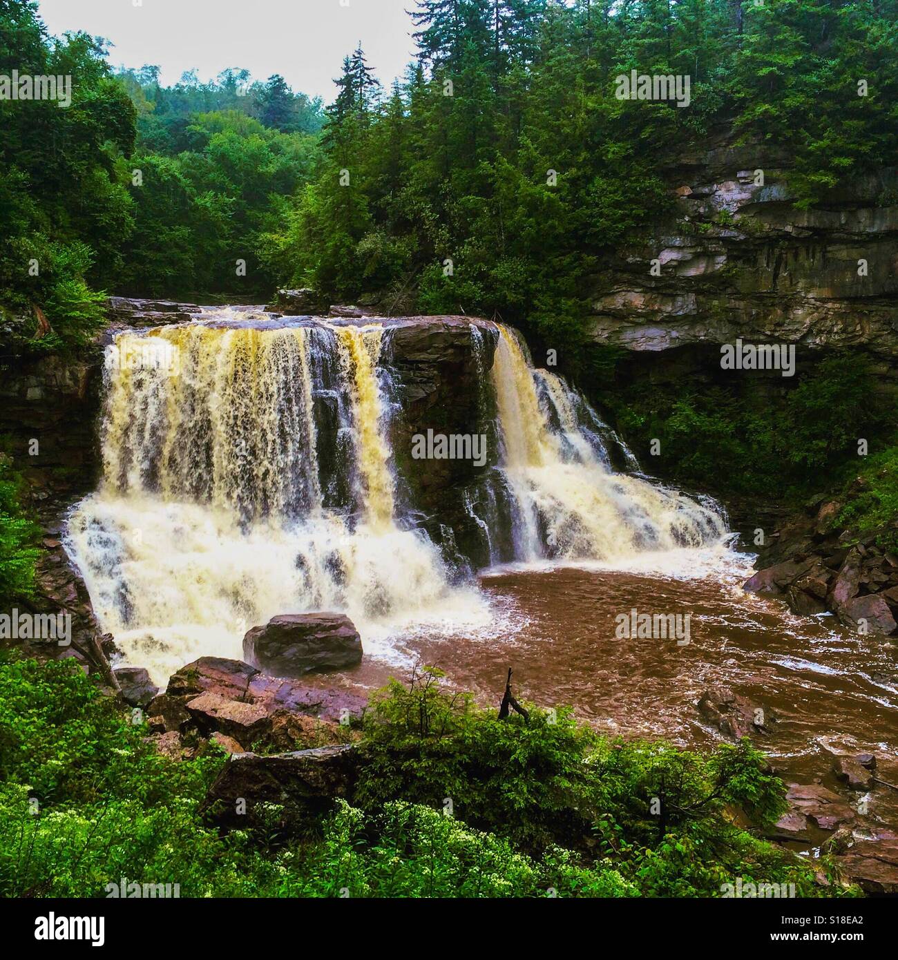 Blackwater falls hi-res stock photography and images - Alamy