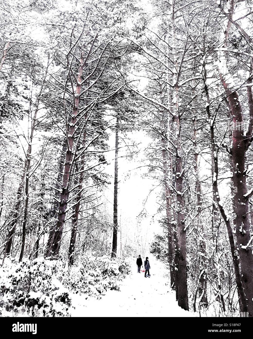 Snowy people hi-res stock photography and images - Alamy