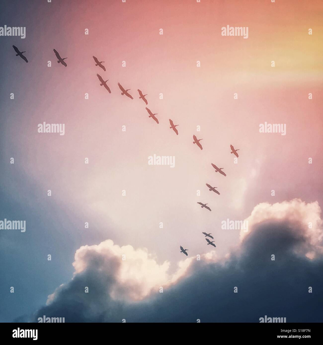 Overhead sky hi-res stock photography and images - Alamy