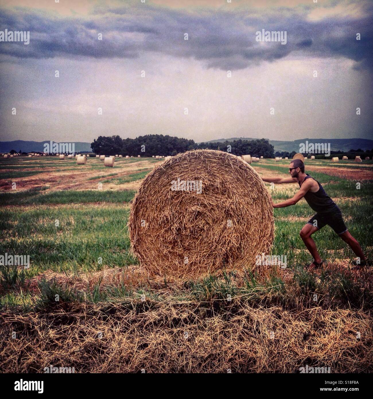 Hard work nature hi-res stock photography and images - Alamy