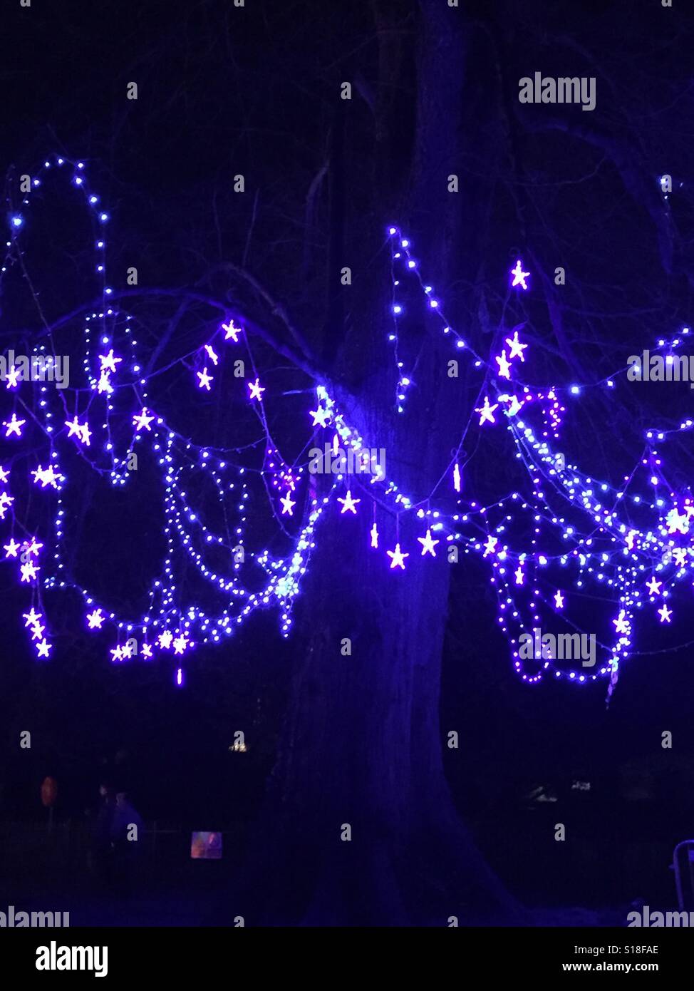 Christmas lights tree trunk hi-res stock photography and images - Alamy