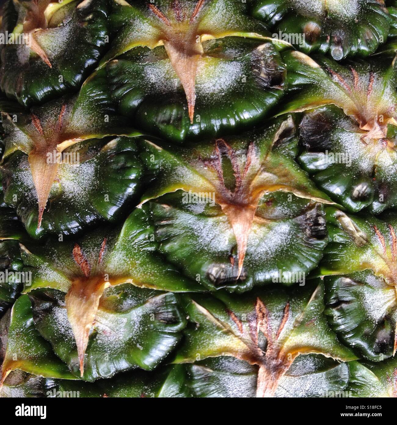 Full frame close-up of the surface of a pineapple. Mobile phone photo ...