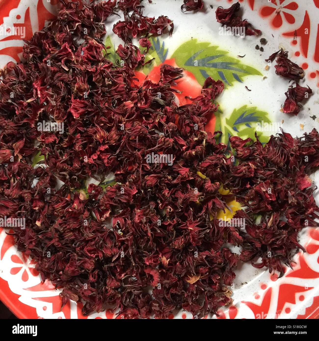 Hibiscus sabdariffa hi-res stock photography and images - Alamy