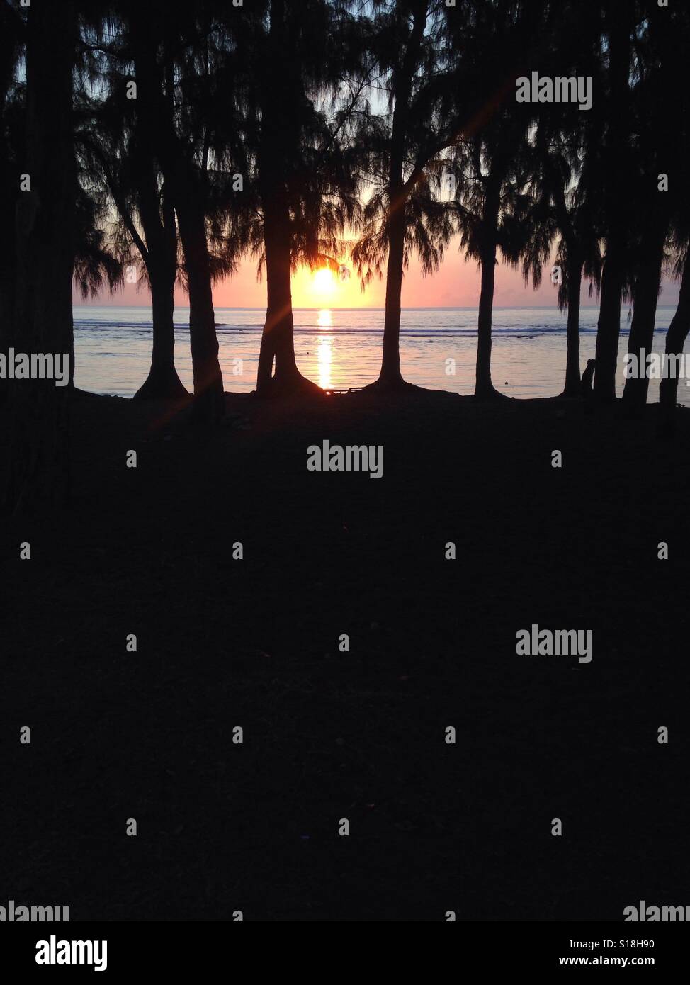 Island reunion beach hi-res stock photography and images - Alamy