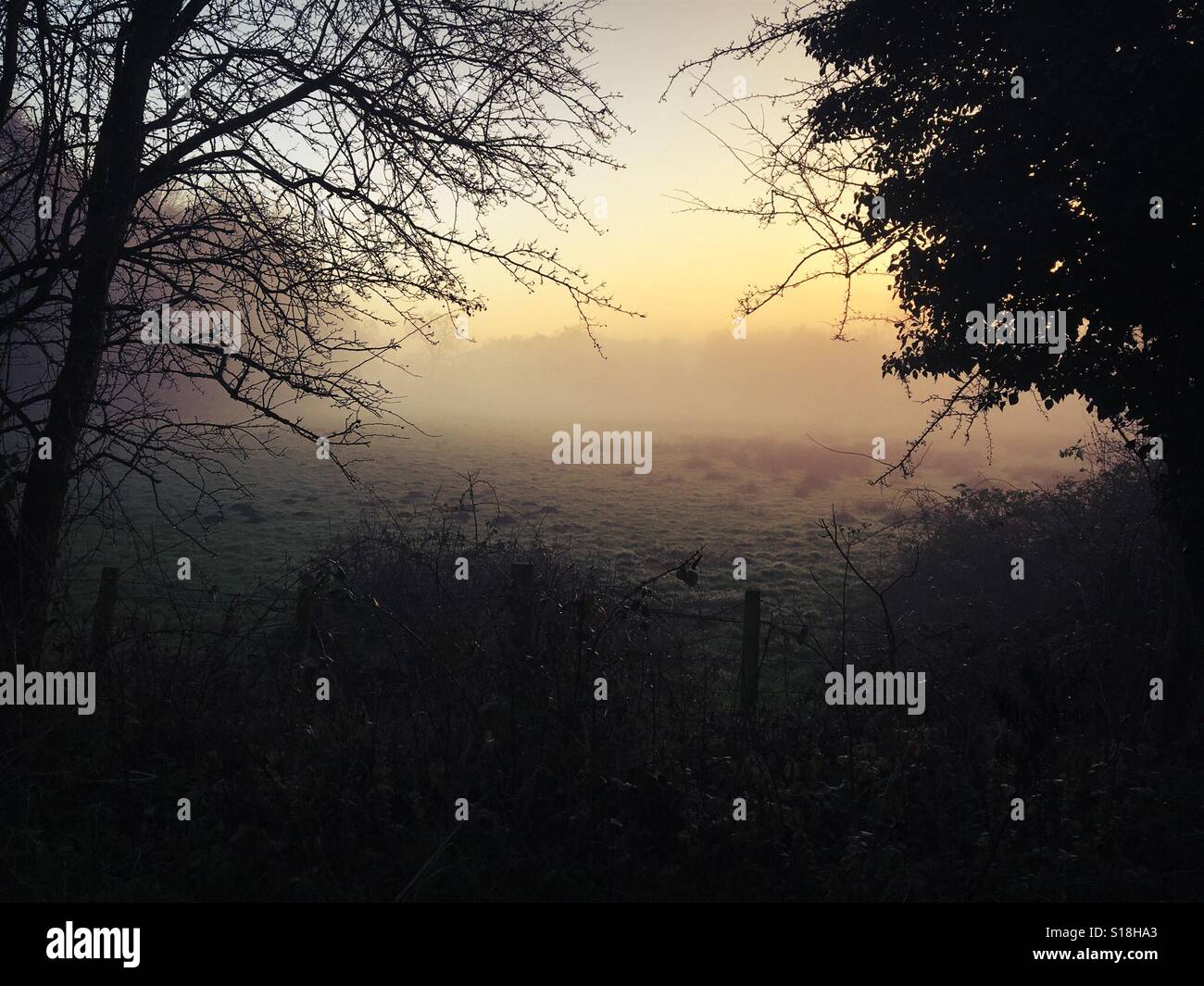 Mist field norfolk england hi-res stock photography and images - Alamy