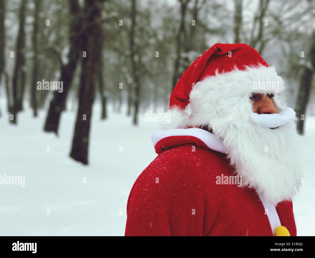 Santa Claus portrait Stock Photo - Alamy