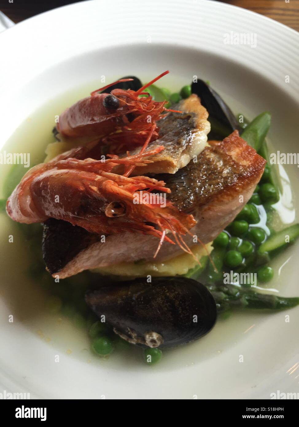 Free fish hi-res stock photography and images - Alamy