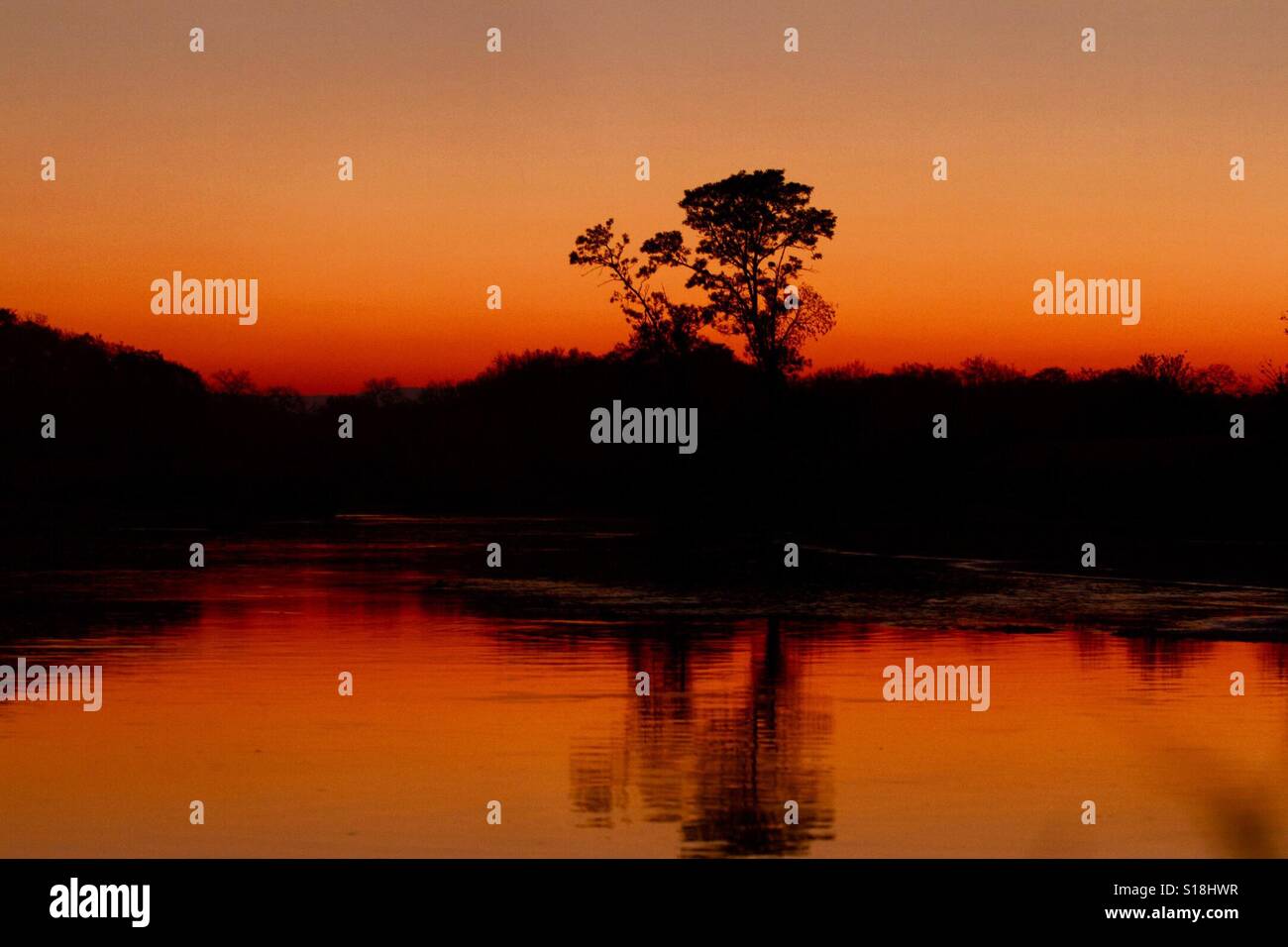 African bush sunset hi-res stock photography and images - Alamy