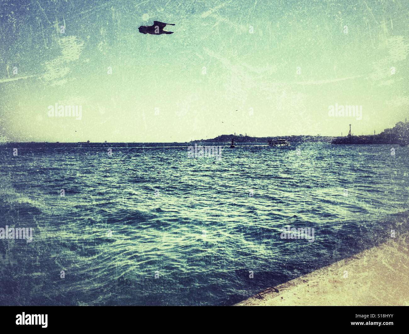 Free fly bird hi-res stock photography and images - Alamy