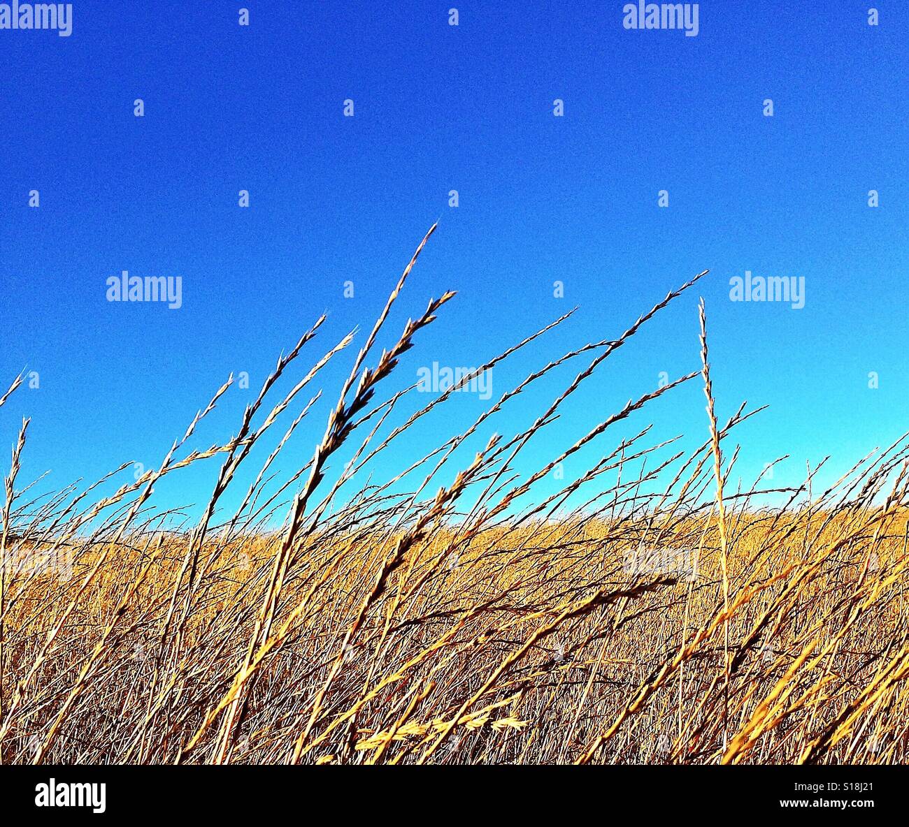 Yellow and blue landscape hi-res stock photography and images - Alamy