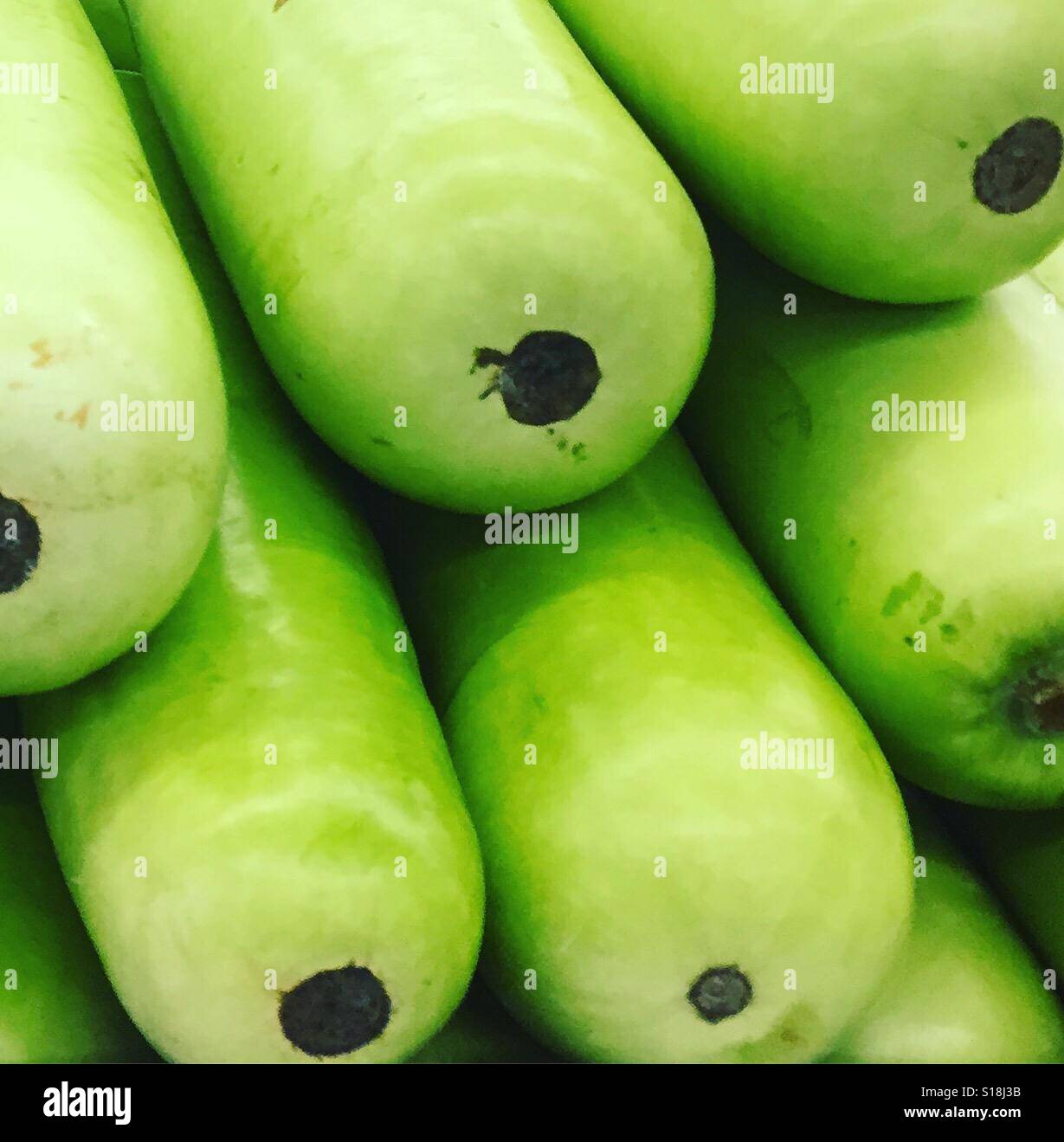 Stack the of long squashes by K.R Stock Photo - Alamy