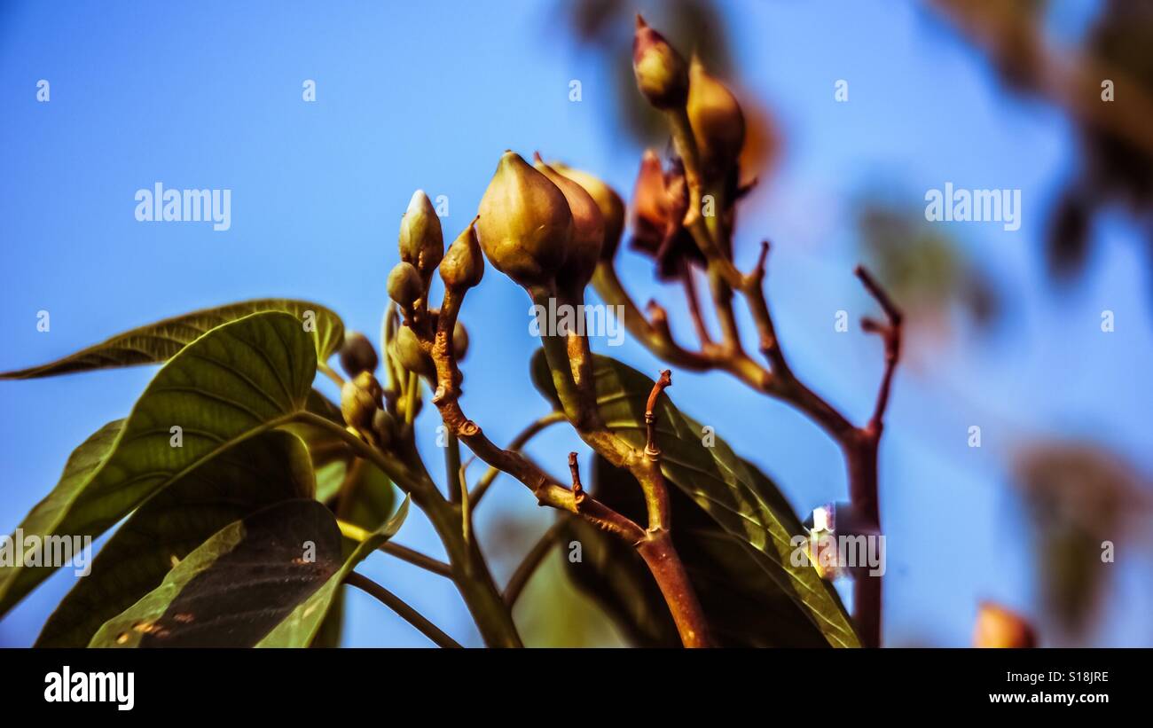 Spring season nature hi-res stock photography and images - Alamy