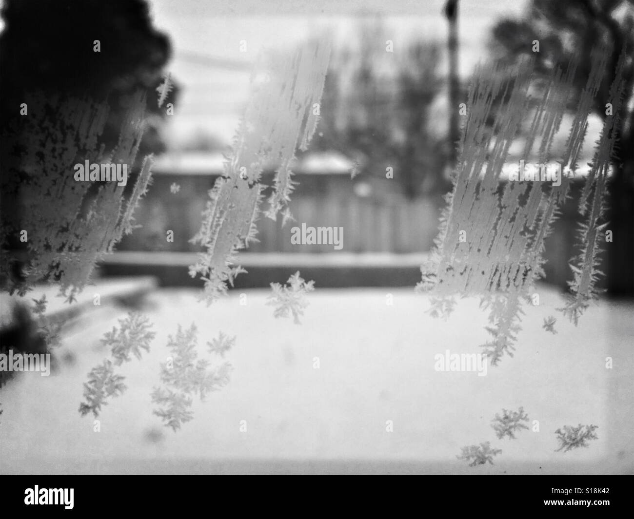 Icy morning 2 Stock Photo - Alamy