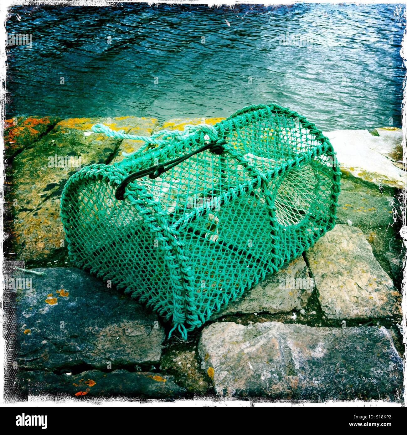 Lobster caught pot hi-res stock photography and images - Alamy