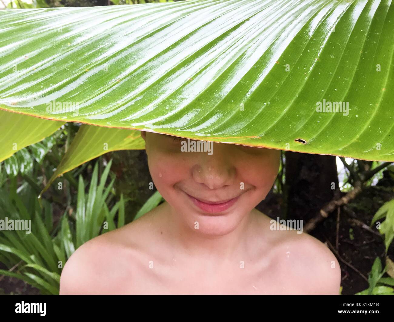 Leaf hiding hi-res stock photography and images - Alamy