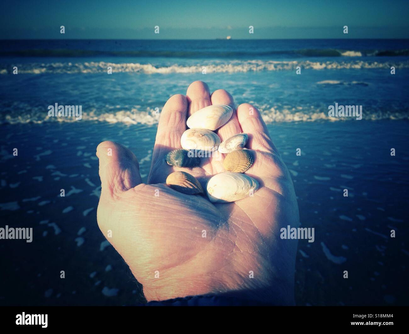 Standing in shell hi-res stock photography and images - Alamy