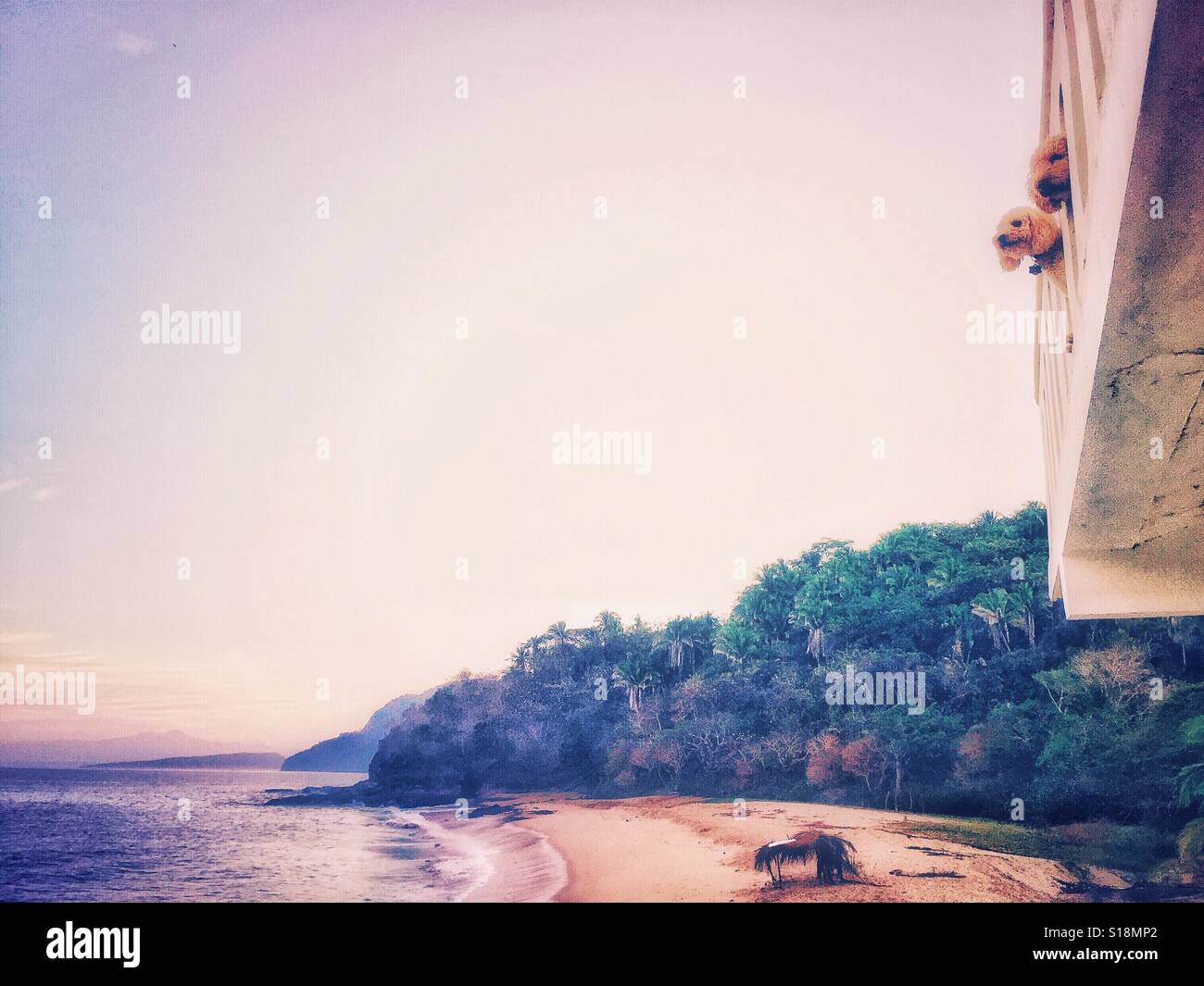 Overlooking beach hi-res stock photography and images - Alamy