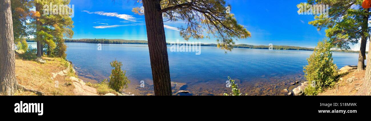 Panoramic Portrait Of Forest Lake Stock Photo - Alamy