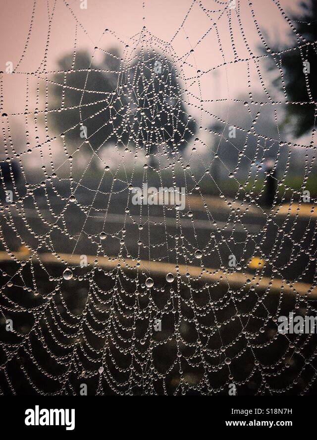 Natural structures hi-res stock photography and images - Alamy